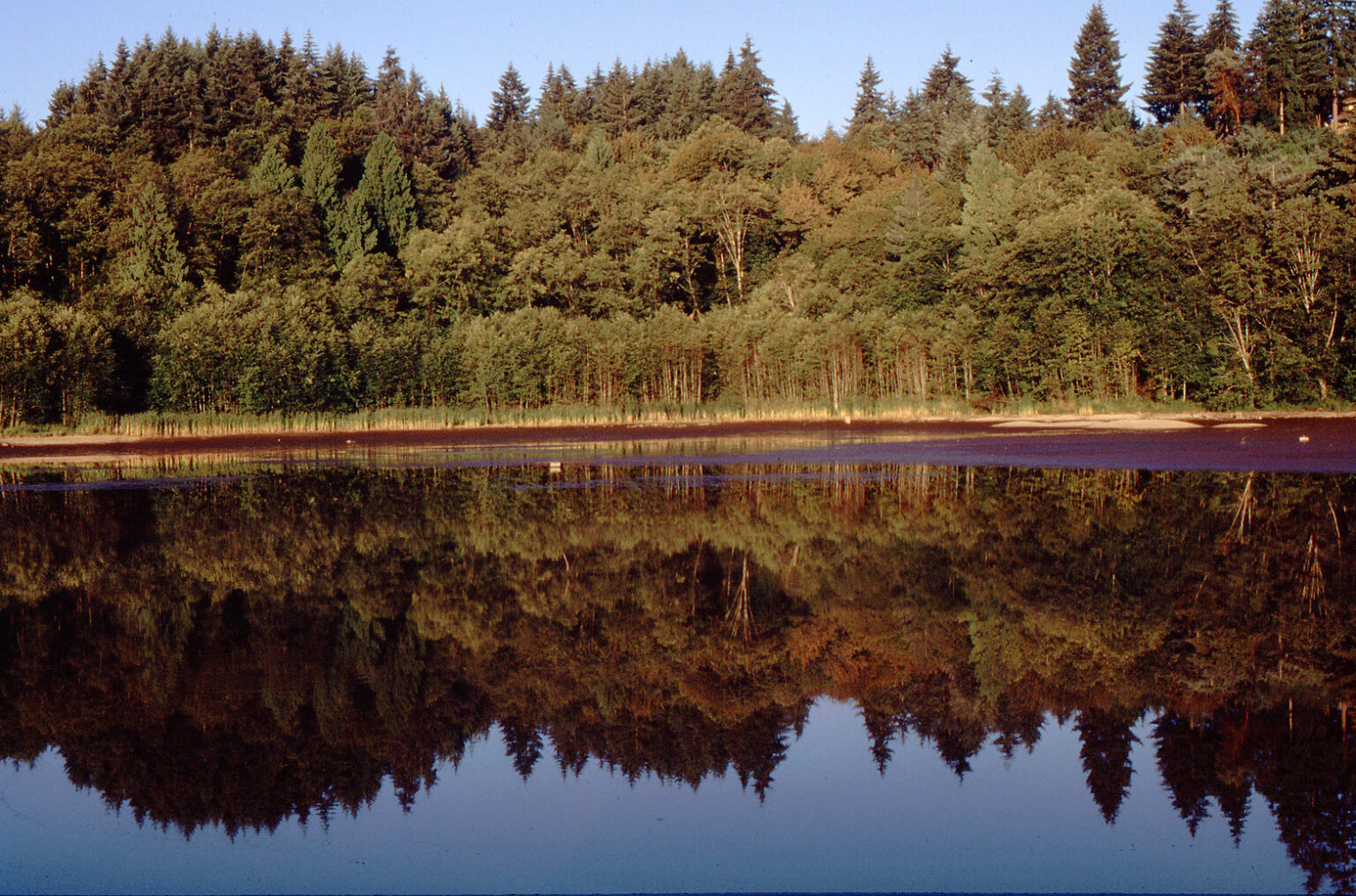 Natural Resource Asset Management - Washington Conservation Action ...